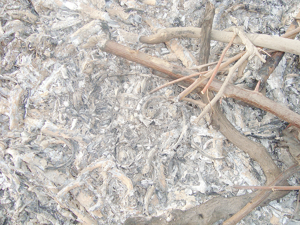 burned_wood_remains_texture素材免费下载(图片编号:4130827)-六图网