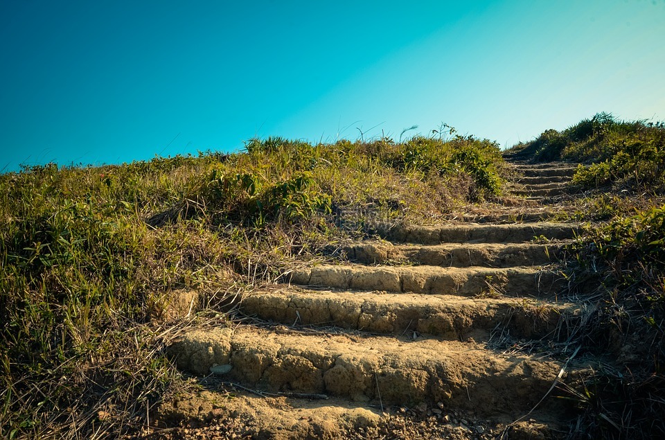 回避,天堂,绿高清图库素材免费下载(图片编号:6681614)-六图网