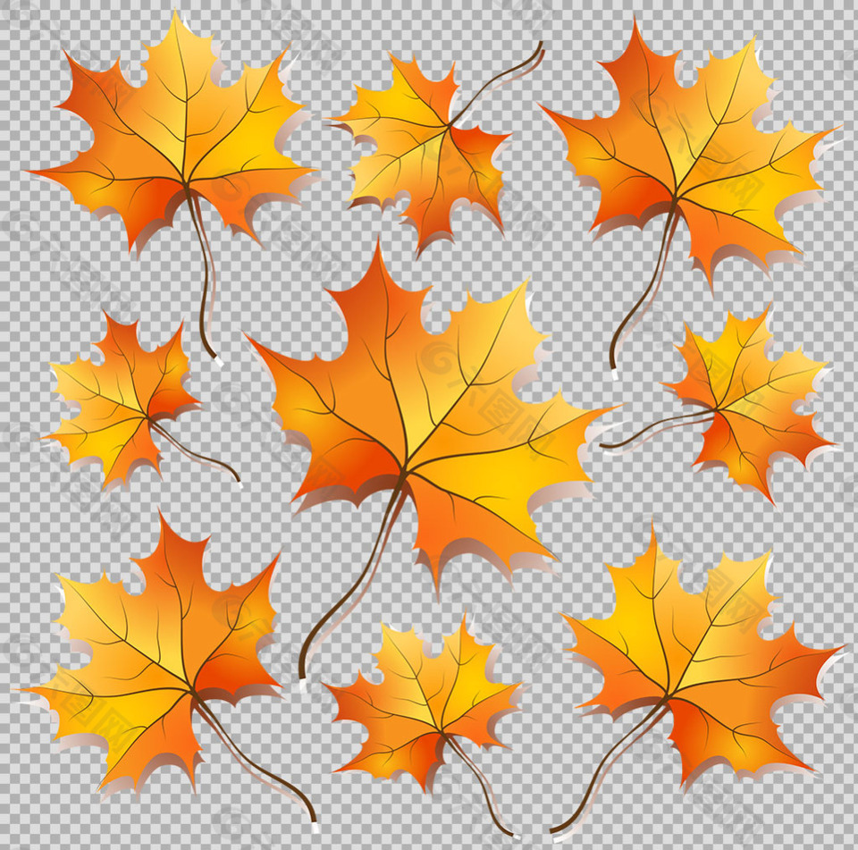 手绘橙色枫叶插画免抠png透明图层素材设计元素素材免费下载(图片编号:8769431)-六图网