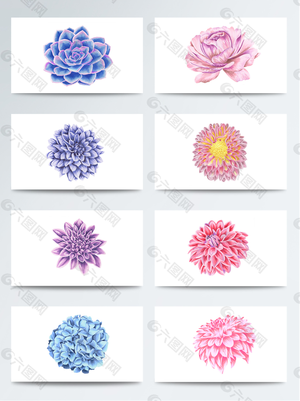 水彩彩色鲜花免扣素材合集设计元素素材免费下载(图片编号:9190113)-六图网